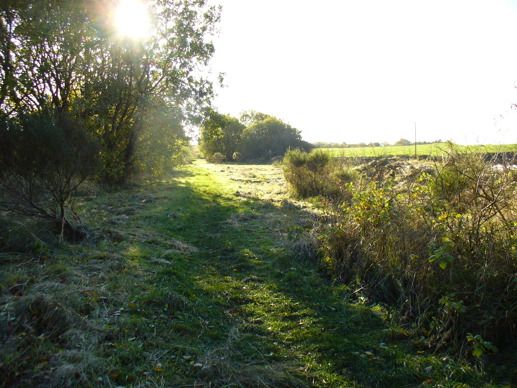 Upper Nethan Gorge - Woodland Trust