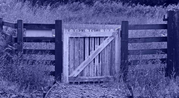 Loch Libo - Woodland Trust