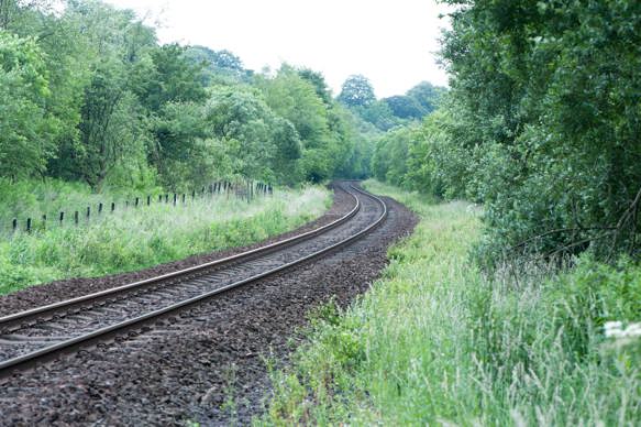 Loch Libo - Woodland Trust
