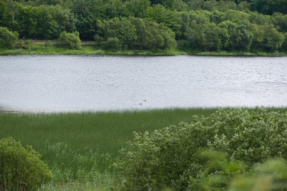 Loch Libo - Woodland Trust