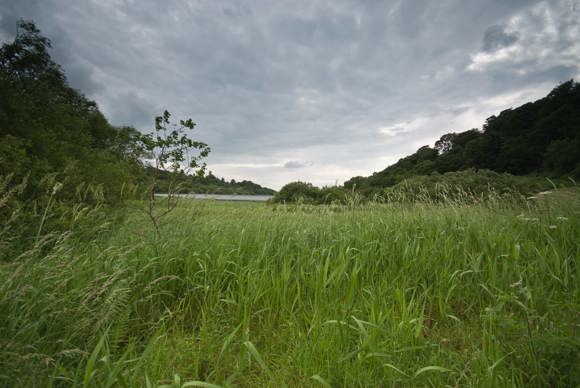 Loch Libo - Woodland Trust