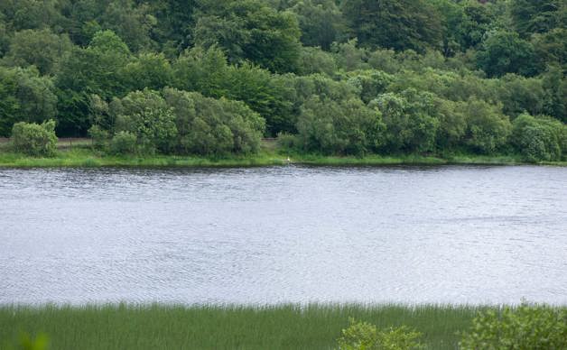 Loch Libo - Woodland Trust