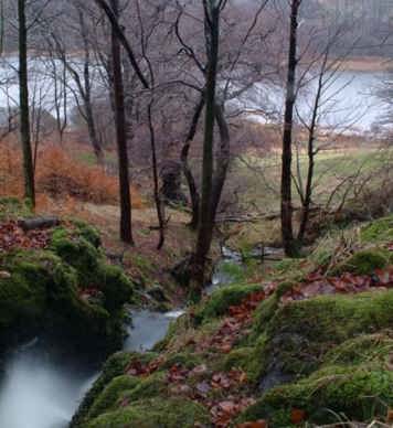 Loch Libo - Woodland Trust