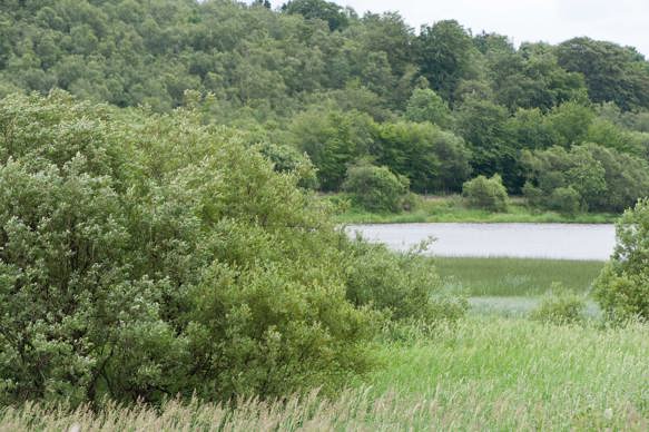 Loch Libo - Woodland Trust