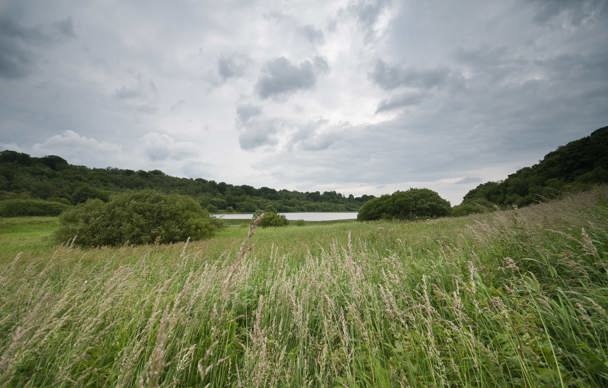 Loch Libo - Woodland Trust
