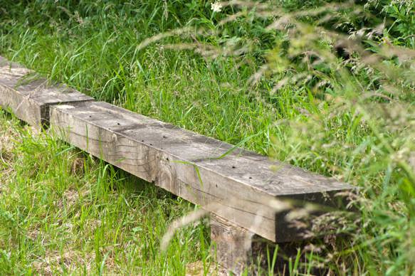 Loch Libo - Woodland Trust