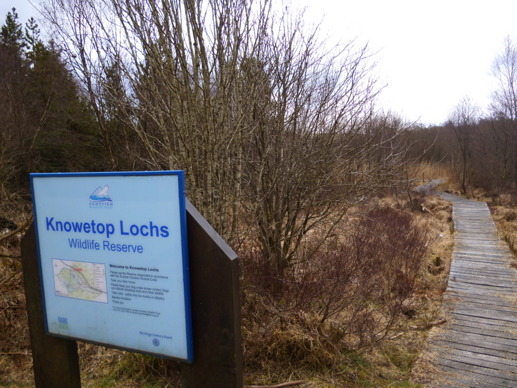 Knowetop Lochs - Woodland Trust
