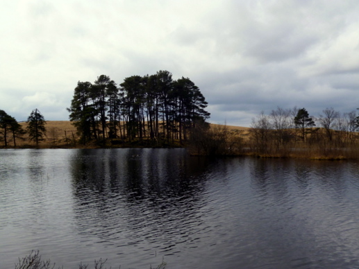 Knowetop Lochs - Woodland Trust