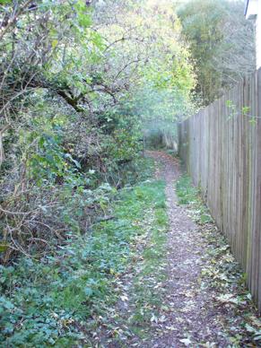 Lower Nethan Gorge - Woodland Trust