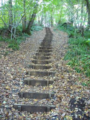 Lower Nethan Gorge - Woodland Trust