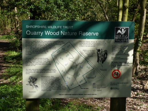 Quarry Wood - Woodland Trust