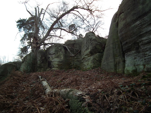 Eridge Rocks - Woodland Trust