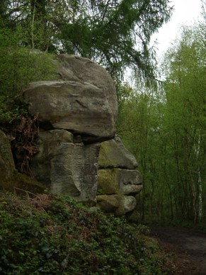 Eridge Rocks - Woodland Trust