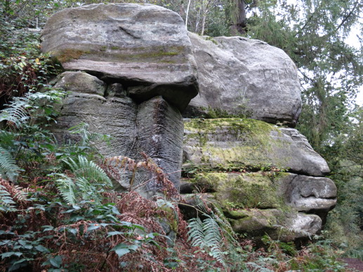 Eridge Rocks - Woodland Trust