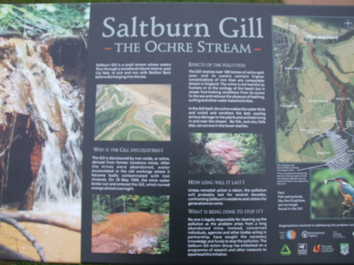 Saltburn Gill - Woodland Trust
