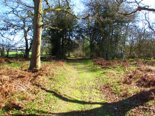 Ryton Wood SSSI - Woodland Trust