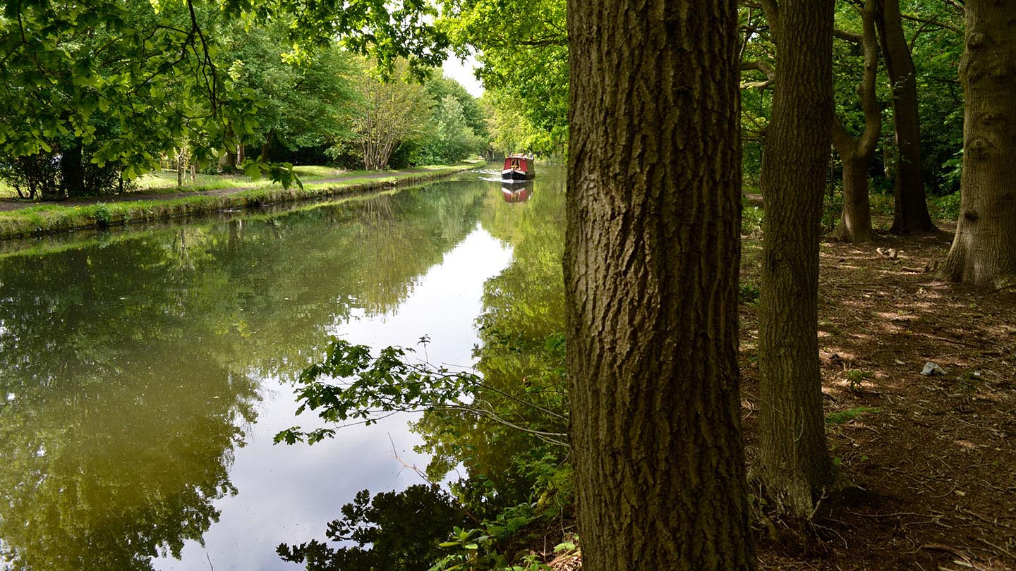 Big Wood, Runcorn - Visiting Woods - Woodland Trust