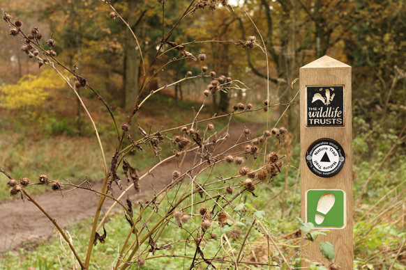 Chaddesley Wood NNR - Woodland Trust