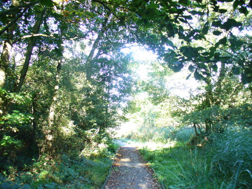Askham Bog - Woodland Trust