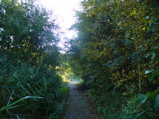 Askham Bog - Woodland Trust