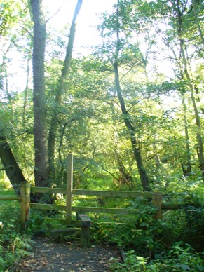 Askham Bog - Woodland Trust