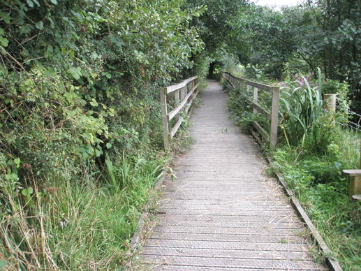 Askham Bog - Woodland Trust