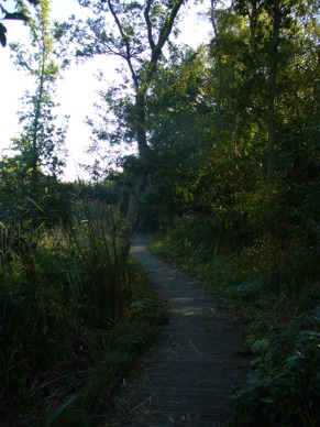 Askham Bog - Woodland Trust