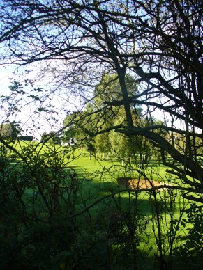 Askham Bog - Woodland Trust
