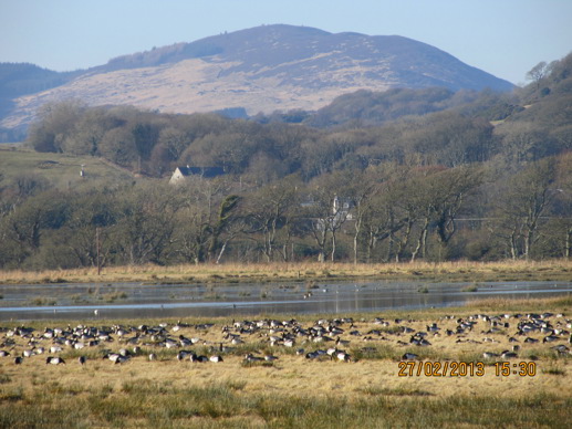 Mersehead - Woodland Trust