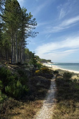 Culbin Sands - Woodland Trust