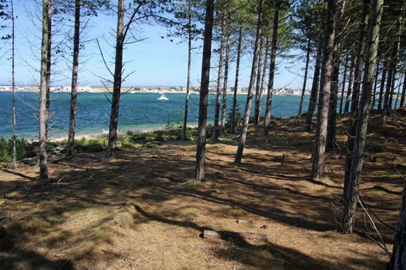 Culbin Sands - Woodland Trust