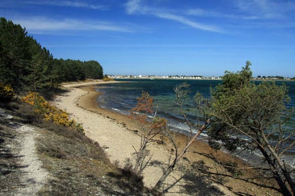 Culbin Sands - Woodland Trust