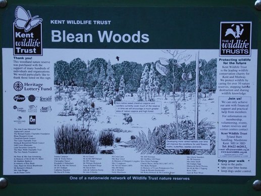 Blean Woods National Nature Reserve - Woodland Trust