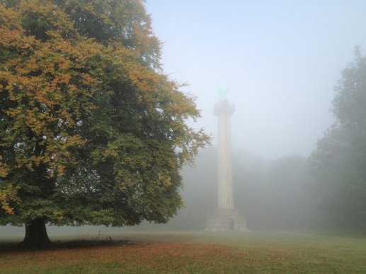 Ashridge Estate - Ashridge Park - Woodland Trust