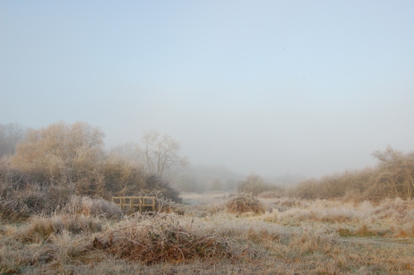Bookham Common - Woodland Trust