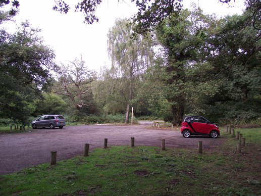 Bookham Common - Woodland Trust