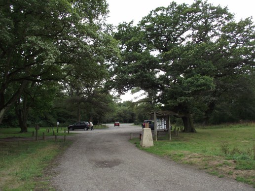 Bookham Common - Woodland Trust