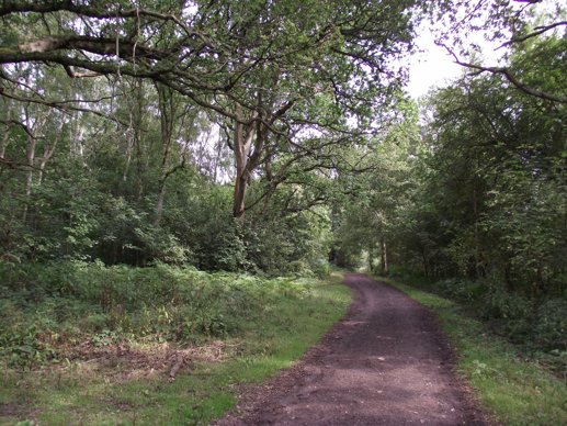 Bookham Common - Woodland Trust