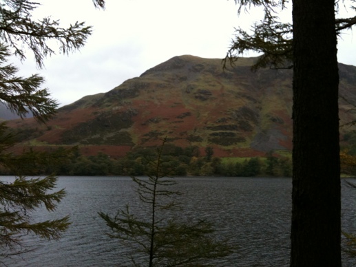 Buttermere - Burtness Wood - Woodland Trust