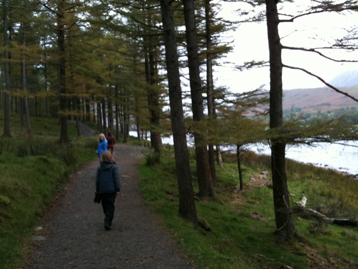 Buttermere - Burtness Wood - Woodland Trust