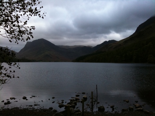 Buttermere - Burtness Wood - Woodland Trust