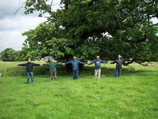 Calke Abbey - Calke Park - Woodland Trust
