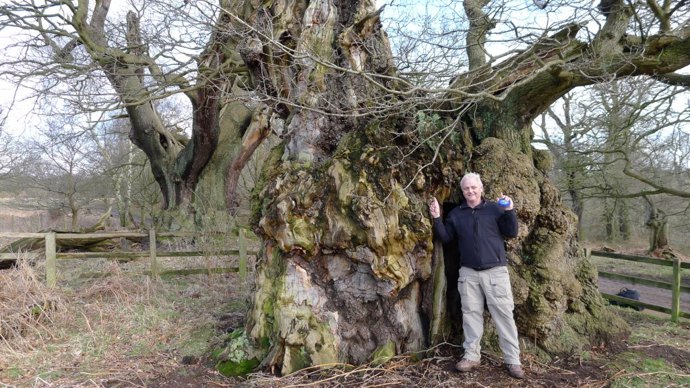 Calke Abbey - Calke Park - Woodland Trust