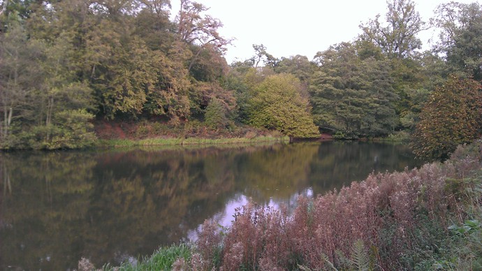 Calke Abbey - Calke Park - Woodland Trust
