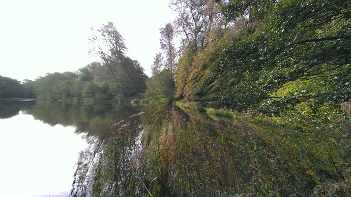 Calke Abbey - Calke Park - Woodland Trust