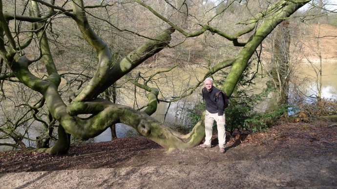 Calke Abbey - Calke Park - Woodland Trust