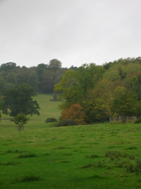 Dinton Park - Woodland Trust