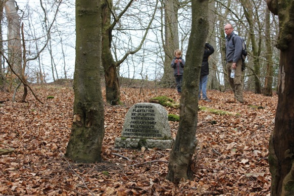 Dumpdon Hill - Woodland Trust