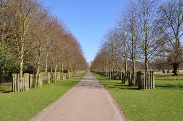 Dunham Massey - Dunham Park - Woodland Trust