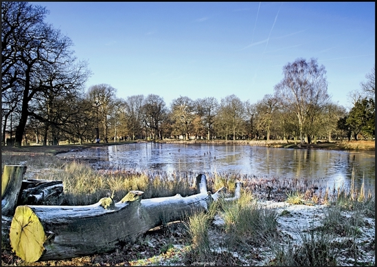 Dunham Massey - Dunham Park - Woodland Trust